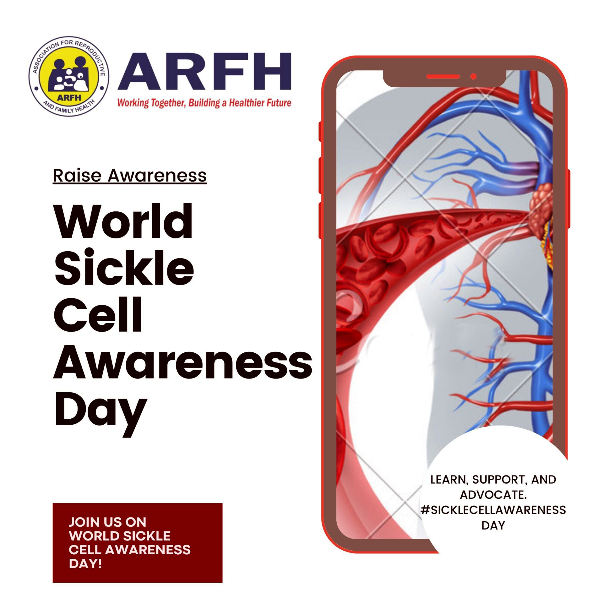 World Sickle Cell Awareness Day 2024 – ARFH Nigeria